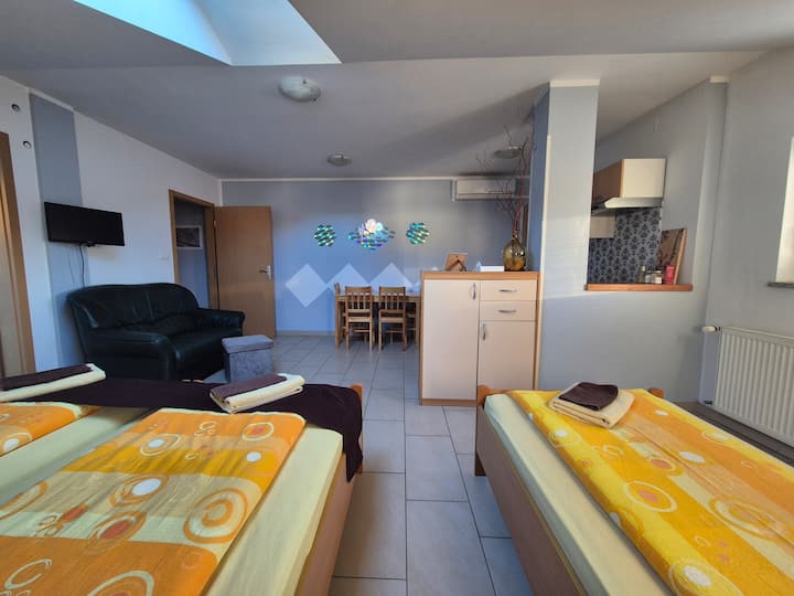 Apartments Furman-self Check In / Studio 3 Persons - Postojna