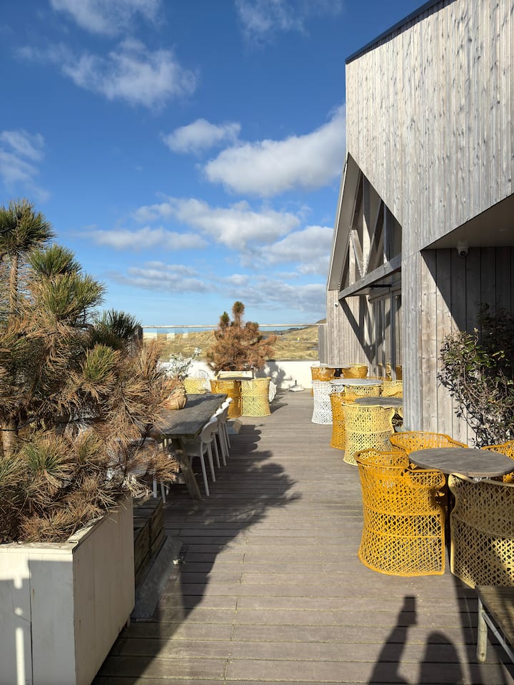 Summer, Sun, And The North Sea—dogs Welcome! - Bergen