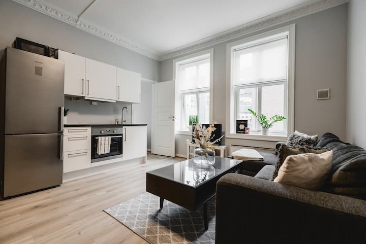 Apartment In Central Oslo - Oslo