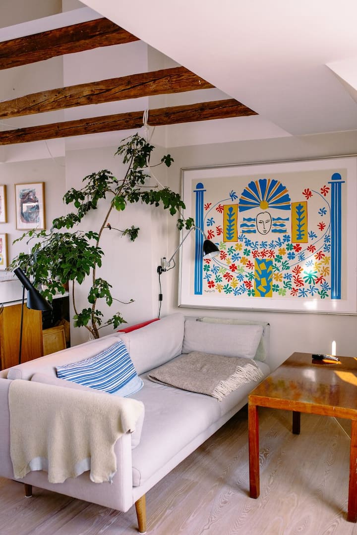 Hyggelig Penthouse, Loft Til Kip - Copenaghen