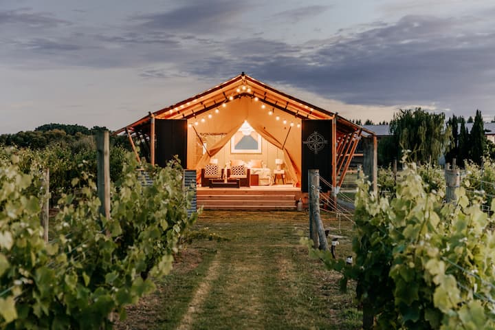 Vineyard Stay - Savvy, Hastings/napier - Clive