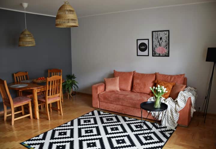 50m2 Przytulne Mieszkanie W Centrum - 格但斯克