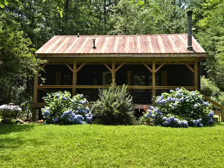Pleasant Gap - A Cozy Cabin In The Woods 2.6 Acres - Ellijay