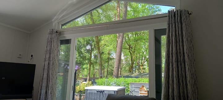 Blissful - Netherlands