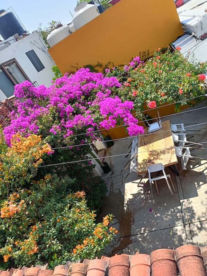 3 Bdr House Petfriendly - 2 Blocks Zocalo - Oaxaca