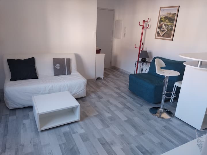 Studio 25 M2 Centre Uriage - Chamrousse
