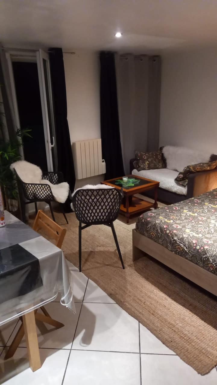 Studio Au Centre De Paris. - フランス パリ