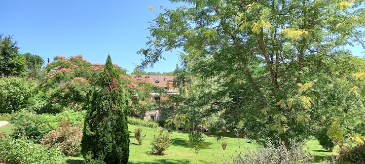 Hameau Les Combelles

Gîte Le Four à Pain - Martel