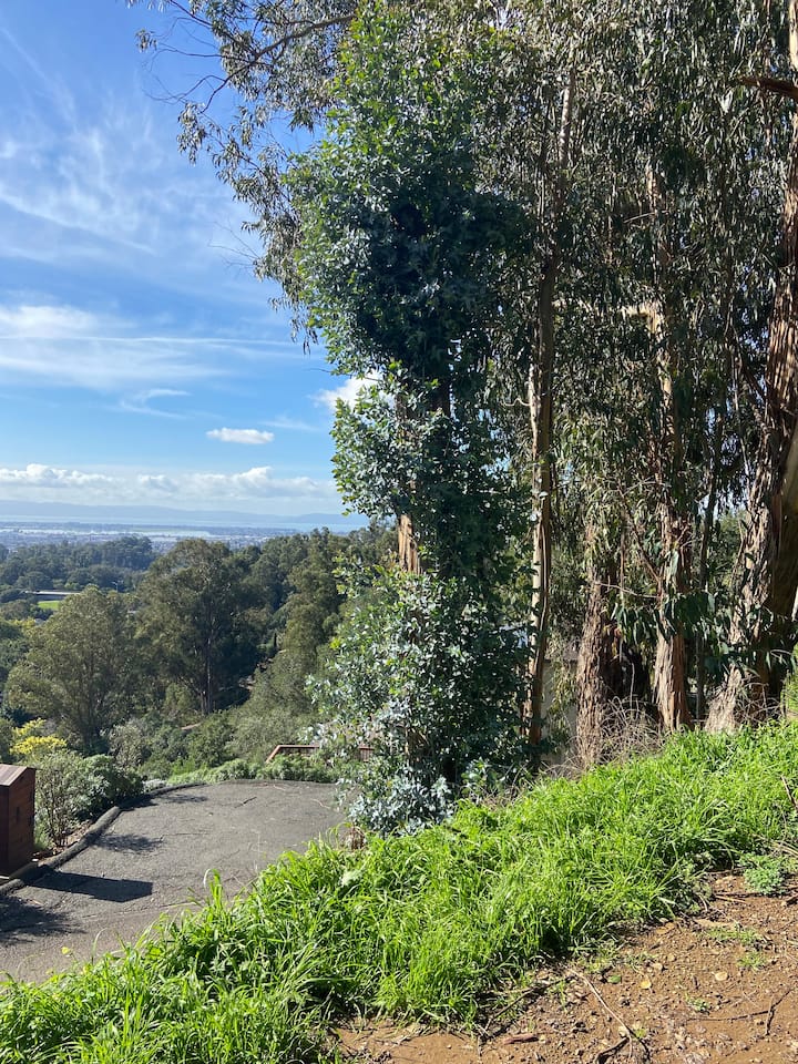 Private Oakland Hills Guest Suite - Oakland, CA