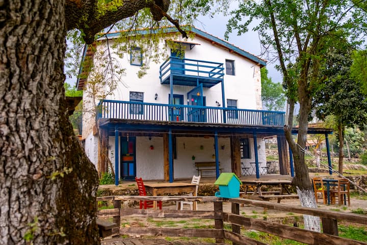 Piccolo Kaş - Terrace House - Çukurbağ