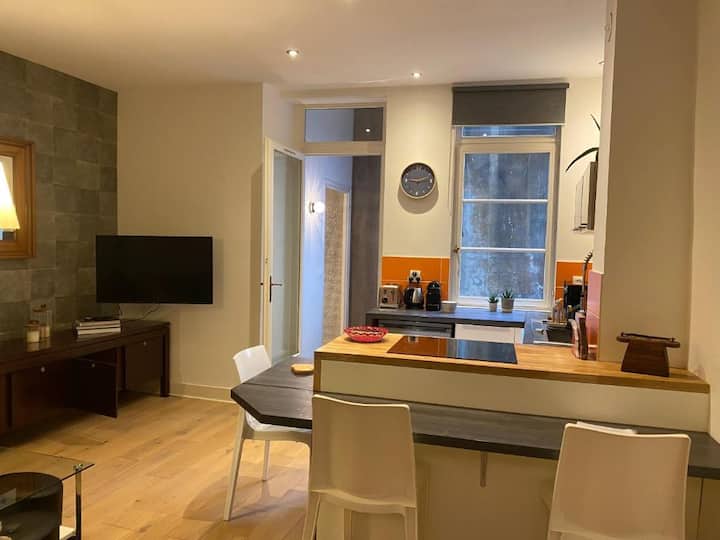 Appartement Annecy, Hyper Centre, Vieille Ville - Annecy