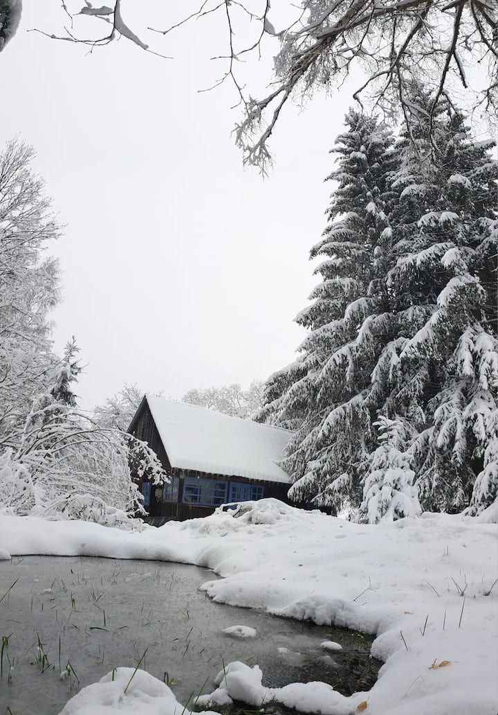 Casuta De Langa Brazi Din Rasca - Beliș