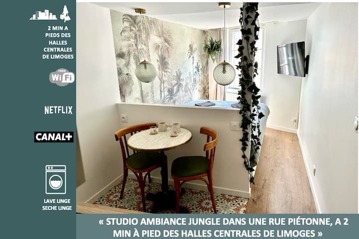 Studio Jungle-calme Rue Piétonne - Limoges