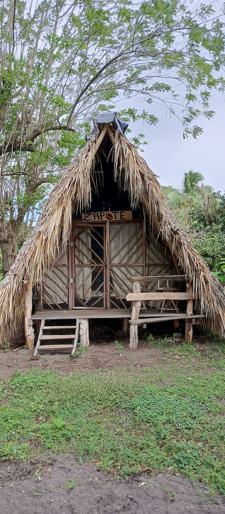La Sirenita Zapote - Nicaragua
