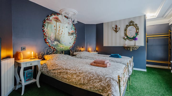 Appartement à Thèmes Unique • 6 Pers • Strasbourg - Estrasburgo