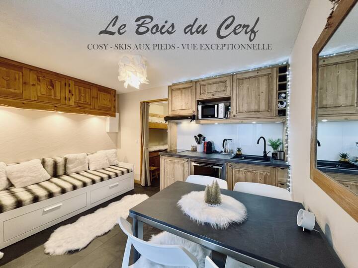 Le Bois Du Cerf - Cosy, Skis Aux Pieds, Avec Vue - Manigod
