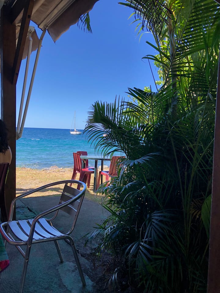 Séjour Nature Jardin Tropical Plage à 3 Min - Guadeloupe