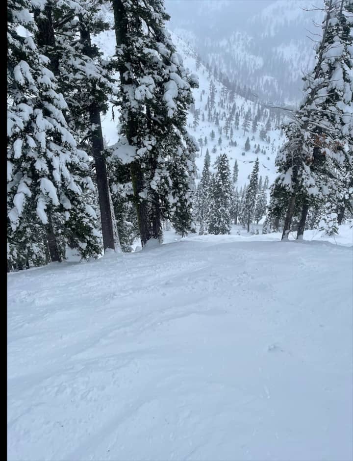 Everline Resort & Spa 2 Queen At Palisades - Olympic Valley, CA