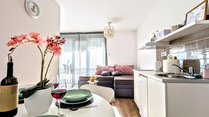 Cute Paris In City Center - Apartmani_nsmilos - Novi Sad