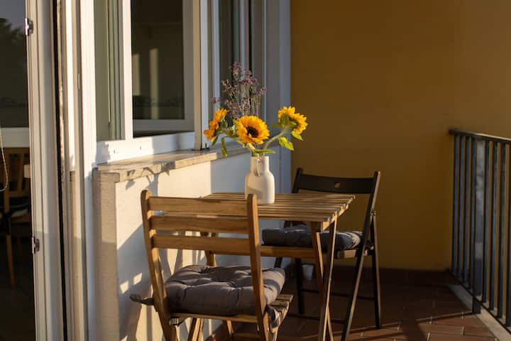 Lucca Roomy Apartment With Balcony And Parking! - Lucca, Italia
