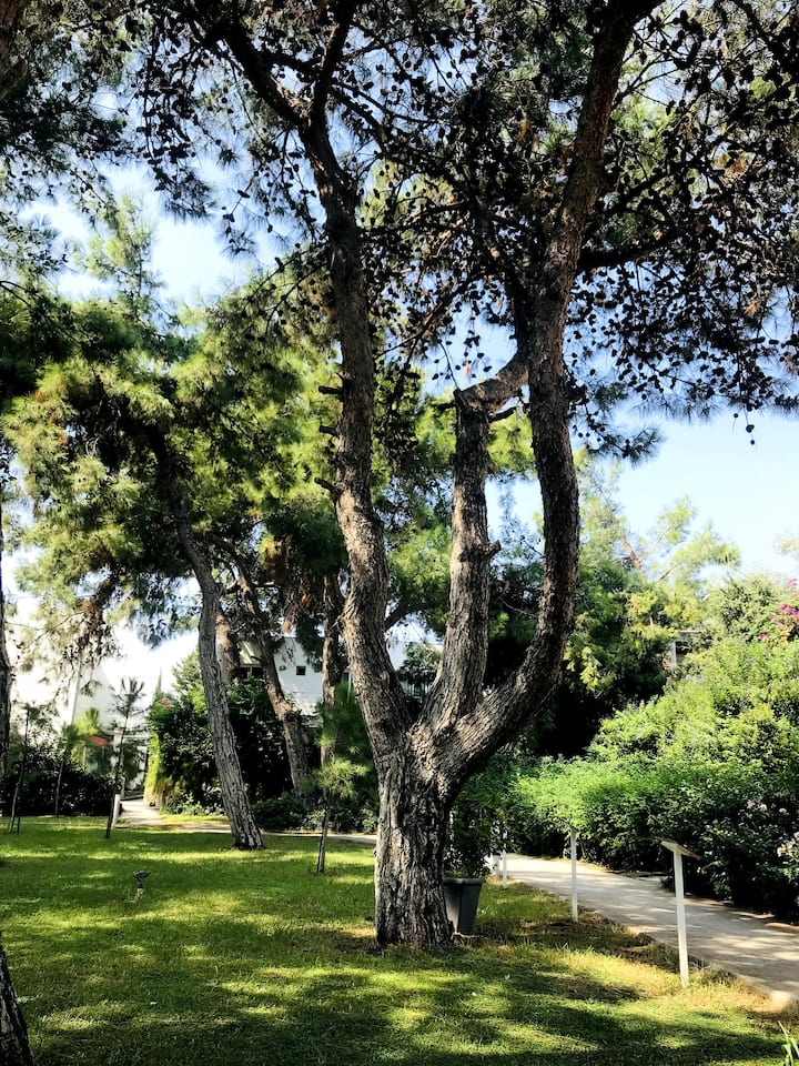 Bodrum Holiday Home - Bodrum