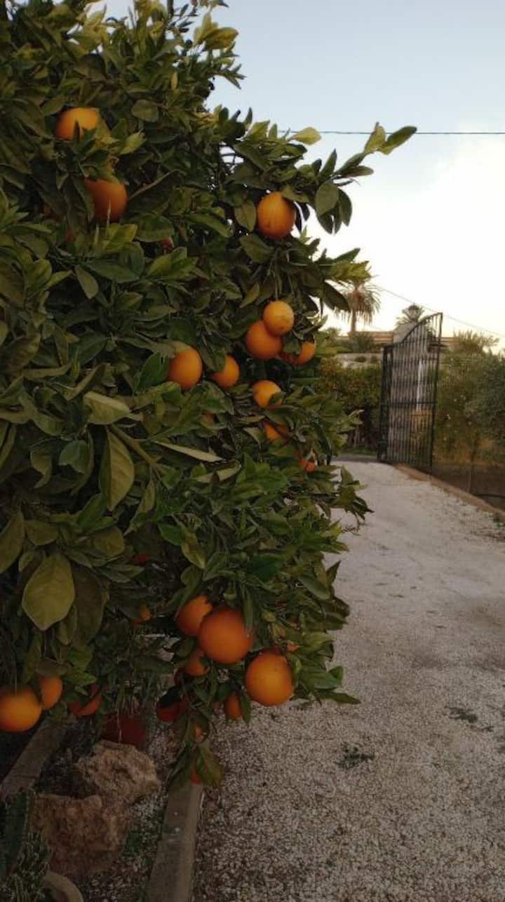 Cortijo Paulenca - Almería
