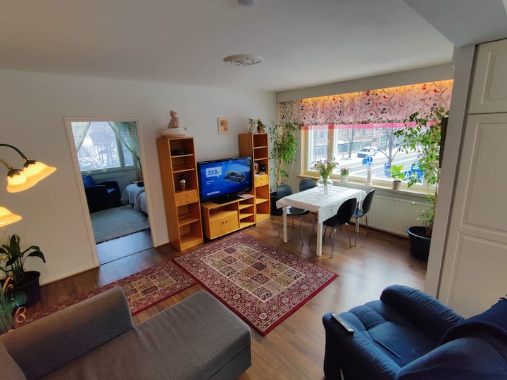 Valoisa 65 M² Kolmio Lahden Keskustassa - Lahti