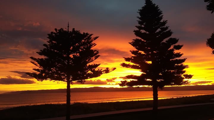 Beachfront On Salisbury - Gisborne