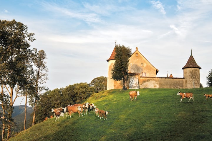 Château De Raymontpierre - Solothurn