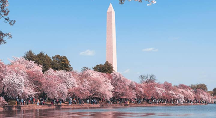 Perfect Studio In Very Central Dc - Washington