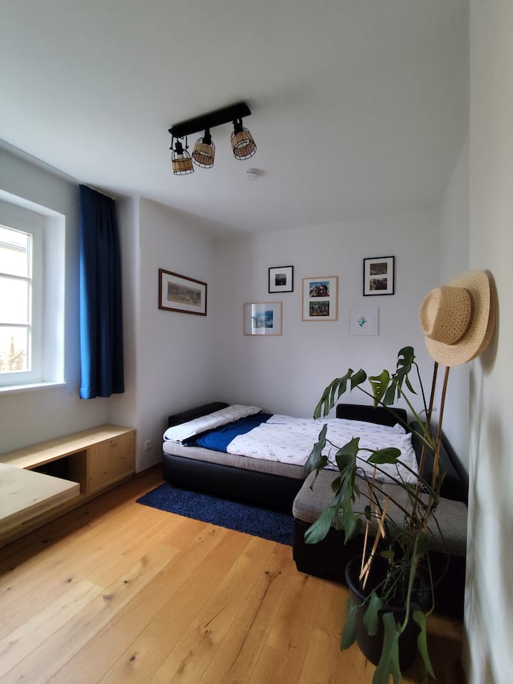 Zentrales Zimmer Mit Altbauflair Und Eigenem Bad - Salzburg