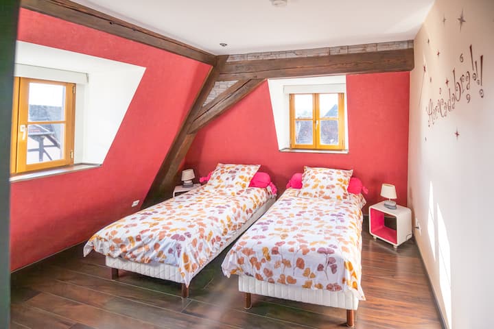 T3 85m2 Vue Sur Les Toits | Terrasse + Parking - Riquewihr