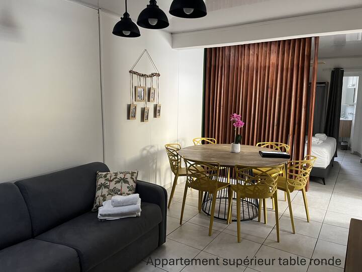 Appartement F2 N°2 1er éTage Avec Terrasse Commune - Saint-Gilles les Bains