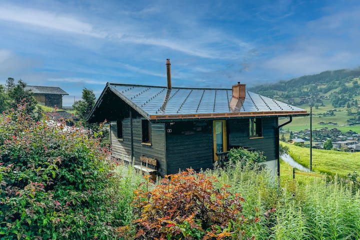 Tiny Chalet On A Very Quiet Place - Grindelwald