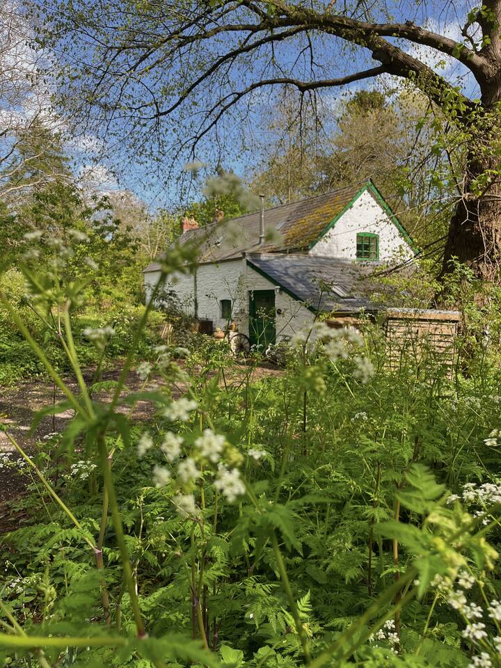 Antique Welsh Cottage Hideaway In Abergavenny - Abergavenny