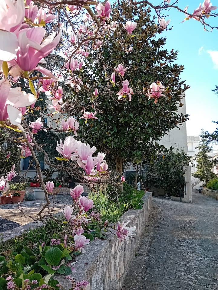 Mt House - Alberobello