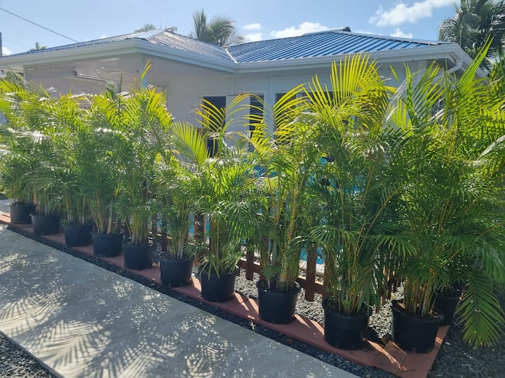 Idéal Famille & Amis*piscine Privée*clim*mini Golf - Guadeloupe