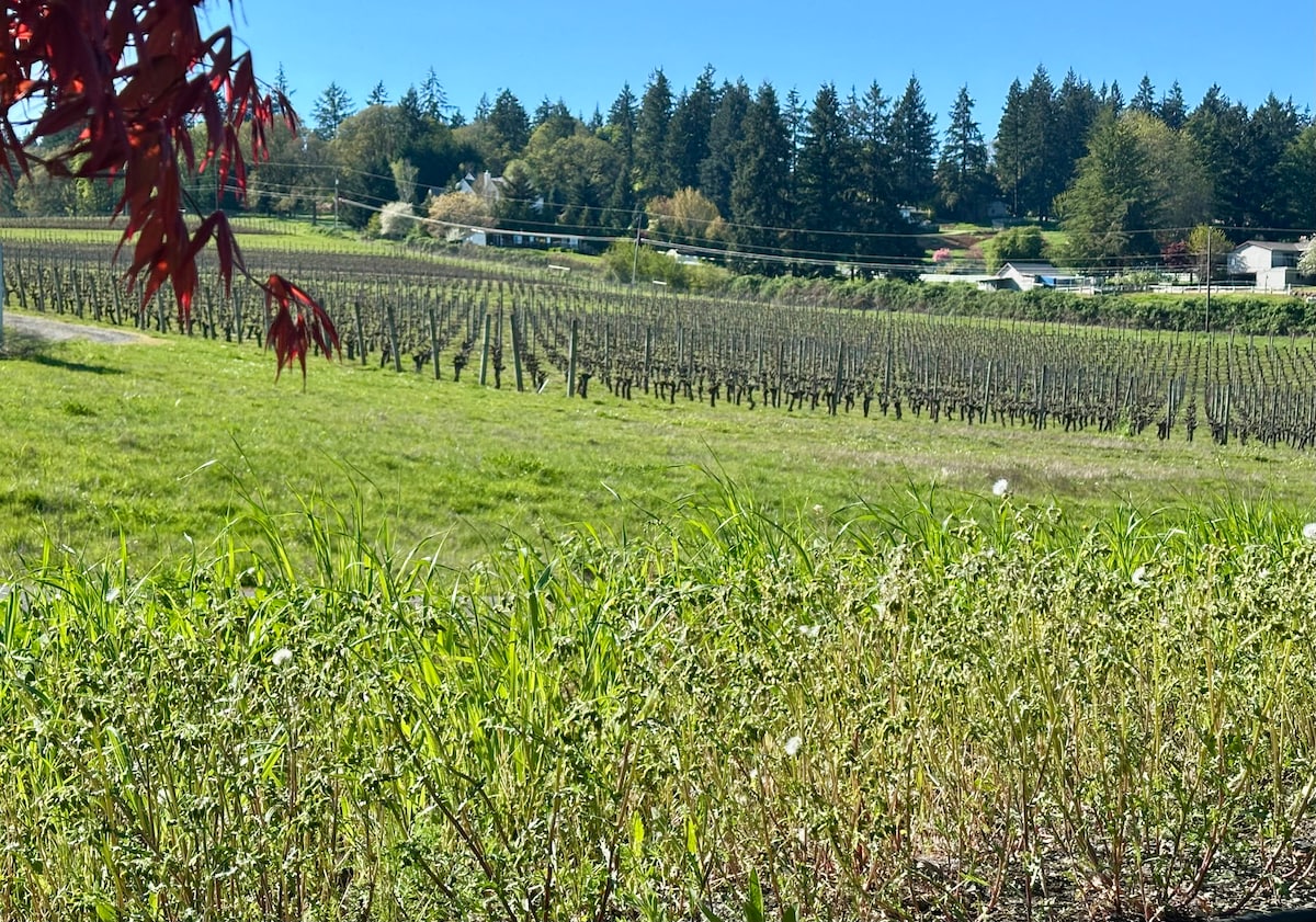 Casa de campo de estilo europeo #5 Dundee Hills Resort - Casas de ...