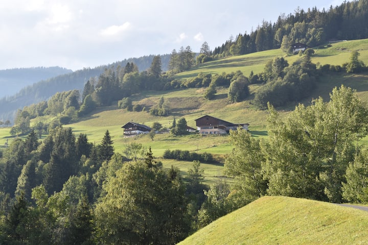 Apartment Panorama Hohe Tauern - Uttendorf
