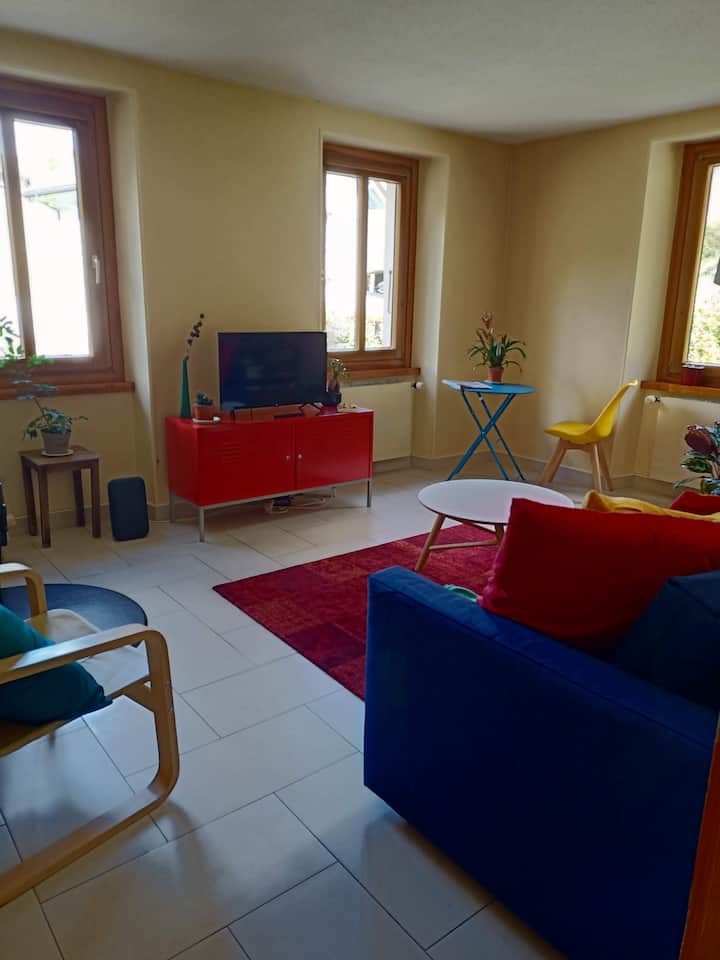 Maison Dans Les Alpes - Bagnes