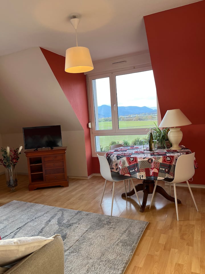 Le Nid Des Pruniers - F2 Au Calme - Parking Privé - Sélestat