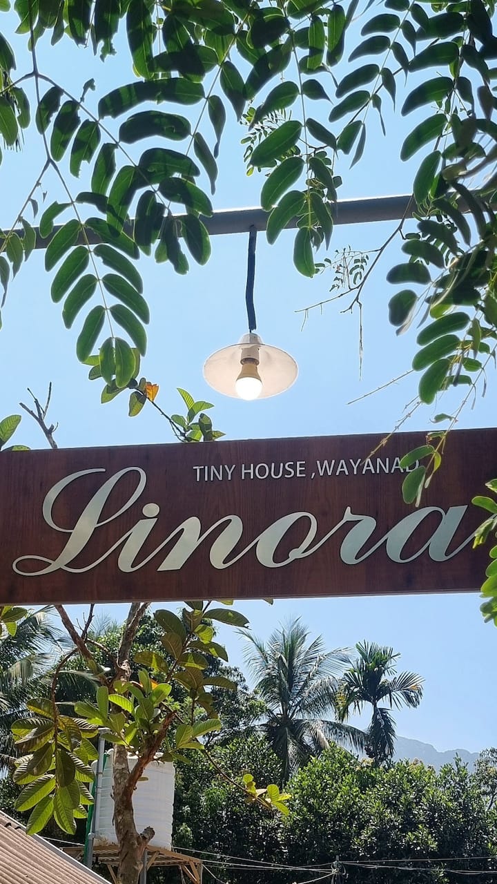 Wayanad Holiday Rentals & Homes - Kerala, India | Airbnb