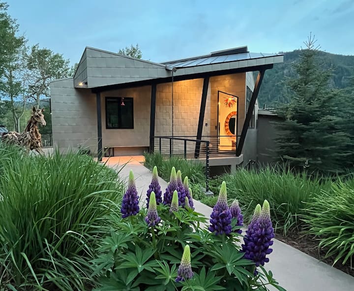 Spa At The Slopes - Airbnb Founder Favorite - Aspen, CO