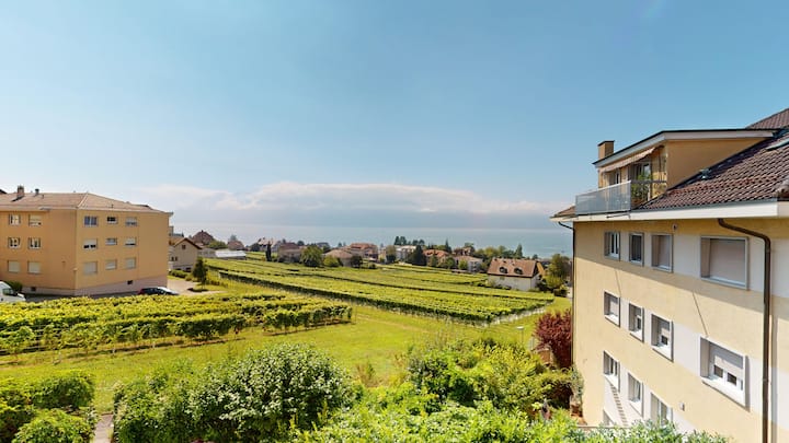 Appartement D'une Chambre Avec Vue Sur Le Lac - Lausanne
