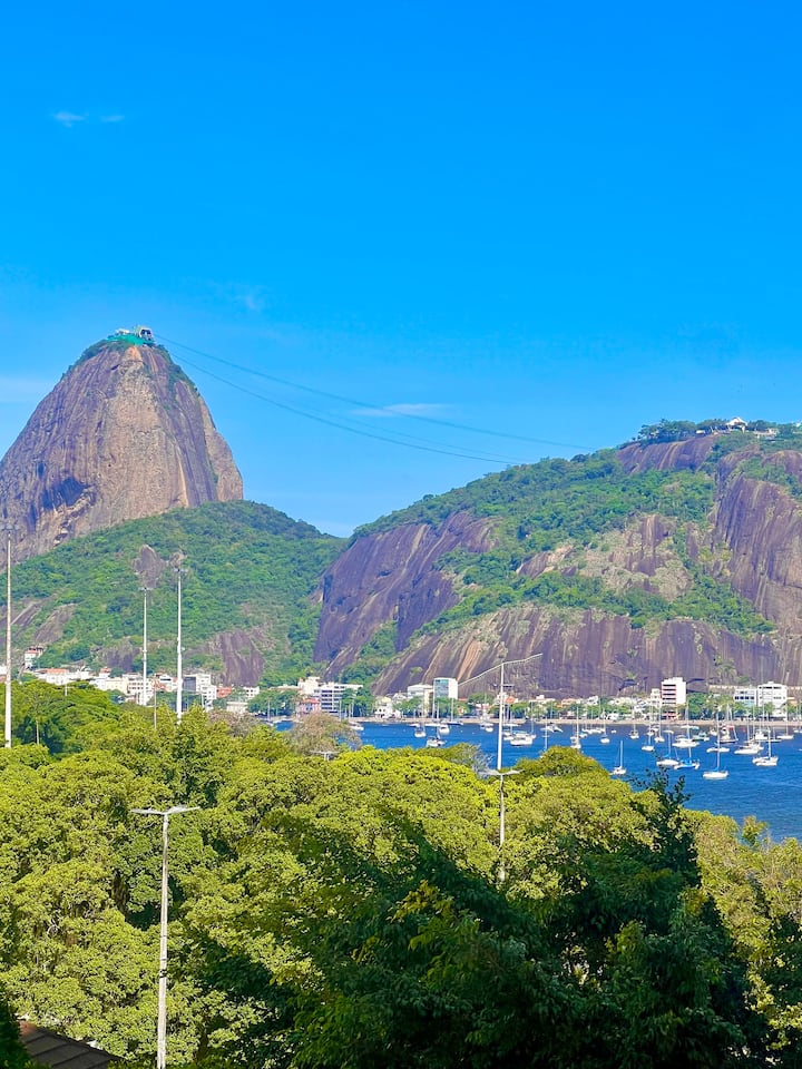 Apartamento Em Botafogo! - Rio de Janeiro