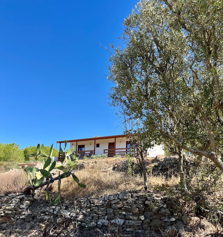 Private Chalet - 100% Circular - Access To Pool - Almodôvar