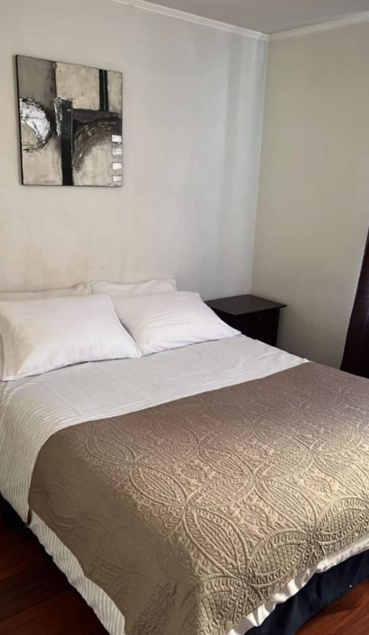 Apto  Ubicado En  Lastarria Y Zona Turistica Y - Chile