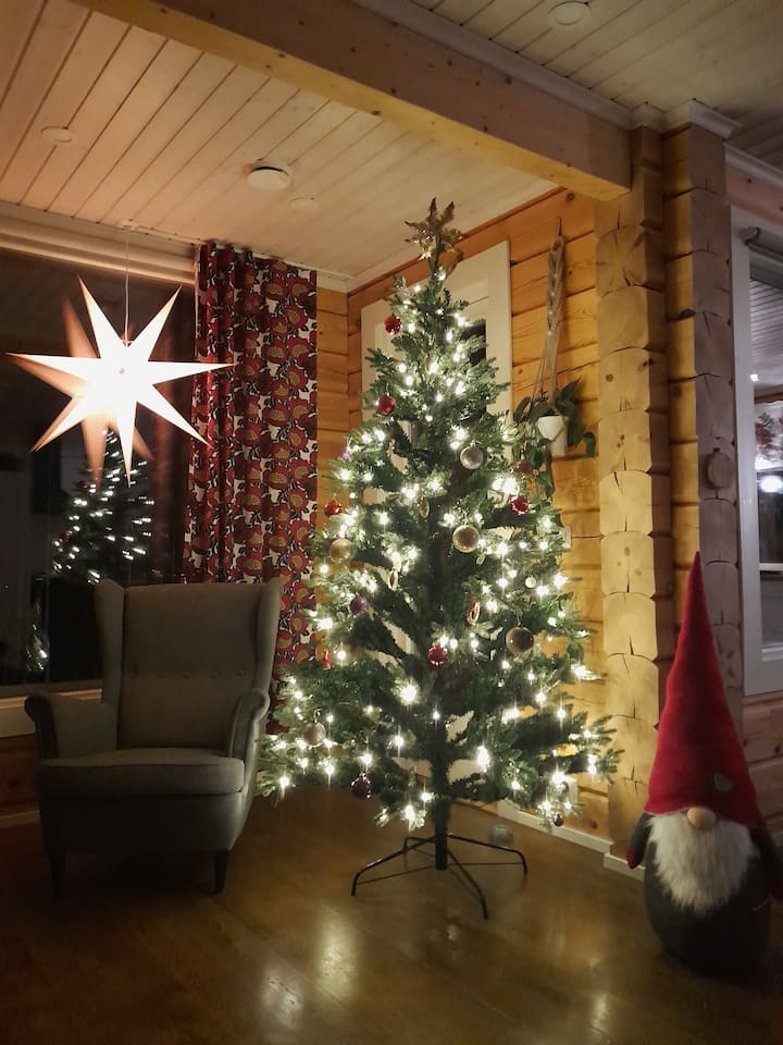 Christmas Log Cabin - Rovaniemi