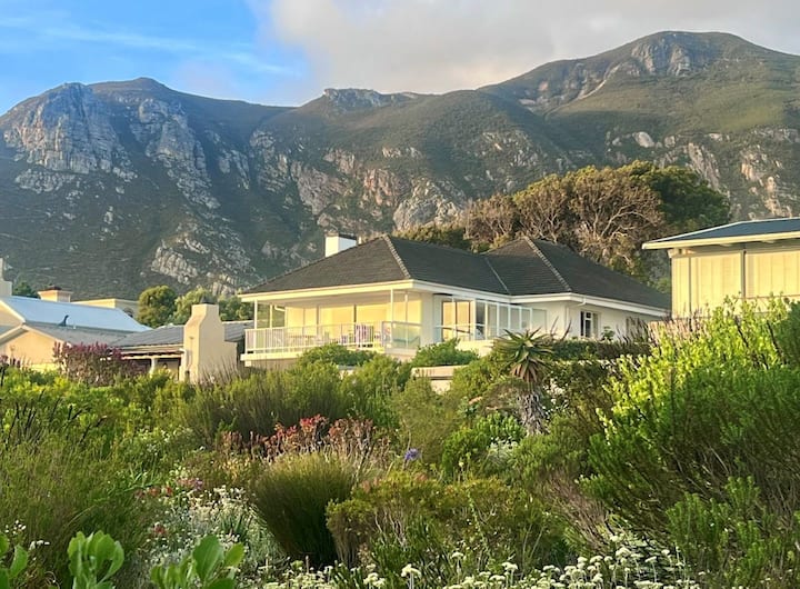 Shonalanga (The Setting Sun) - Hermanus