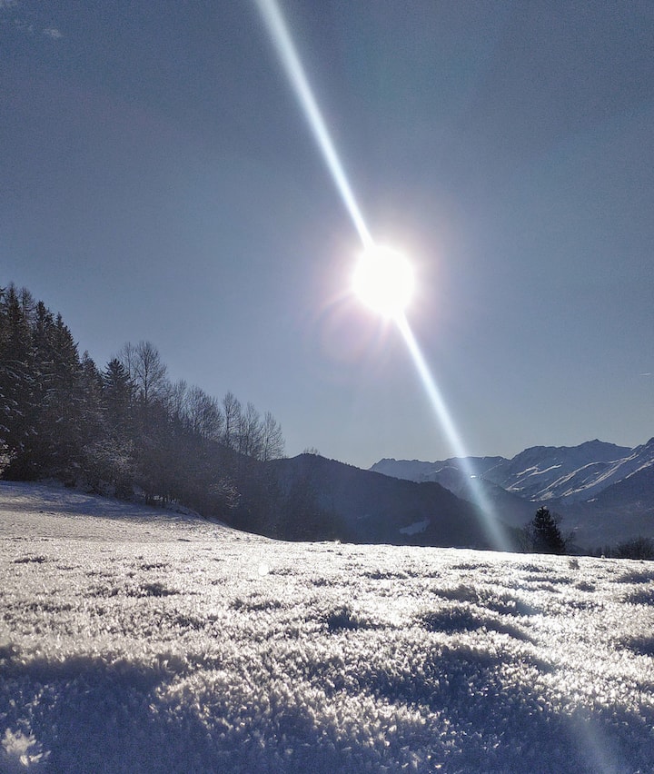 Chalet Le Panoramic 1300 - Proche La Plagne - La Tania